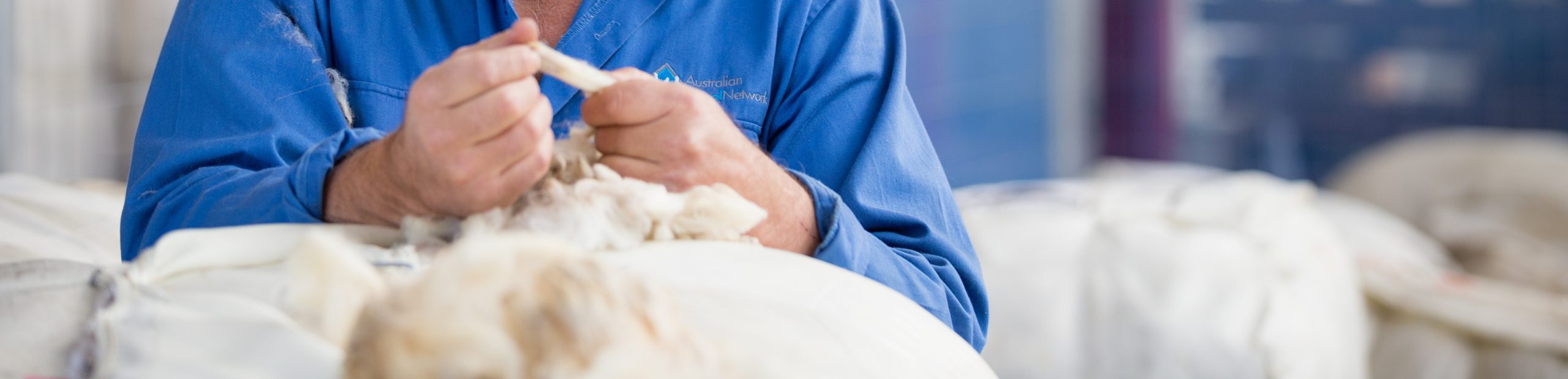 AWN Hamilton Wool Buying - AWN