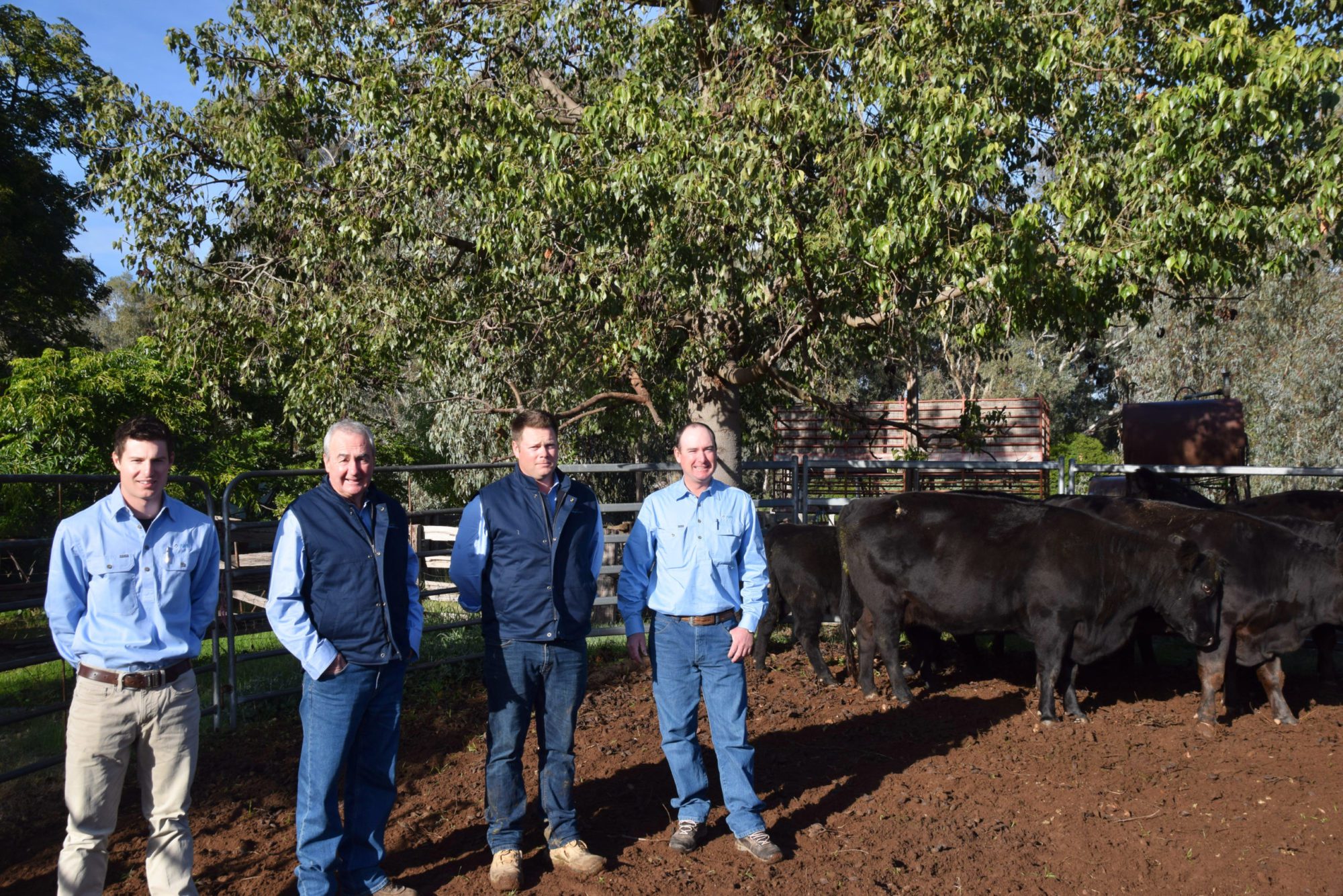 AWN Wangaratta Branch - AWN