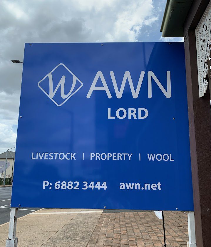 AWN Dubbo (AWN Lord)