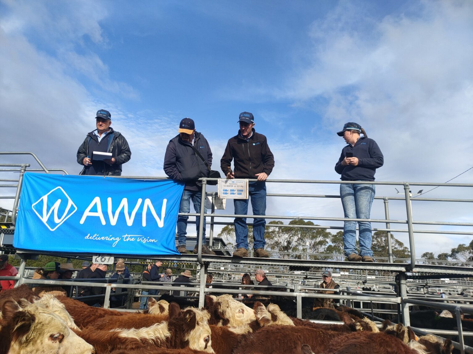 AWN's local trust drives growth in Tasmania's livestock & property ...