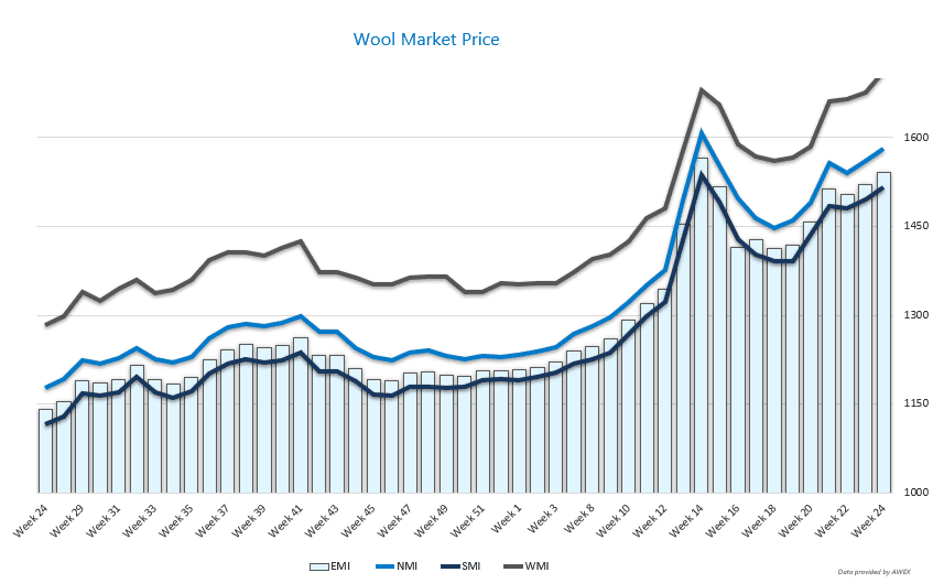 AWN Wool Market Reports & Selling Roster